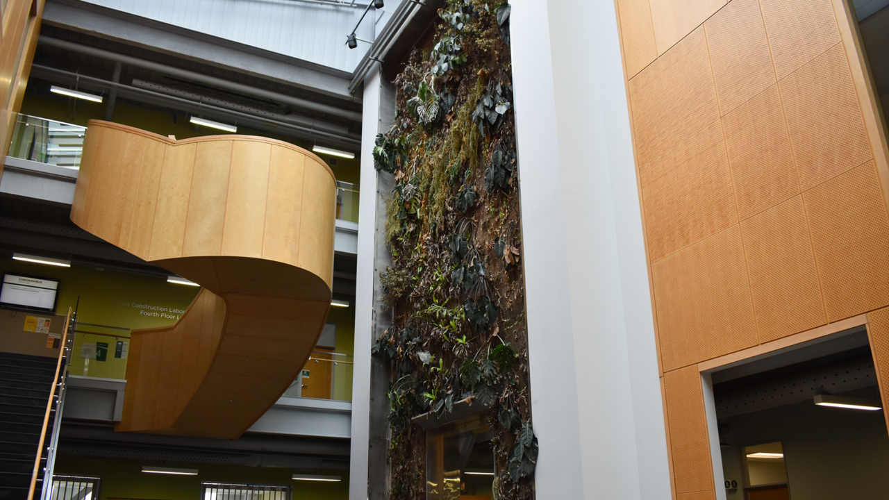 What happened to the Bio Wall in the ACCE building? – Algonquin Times