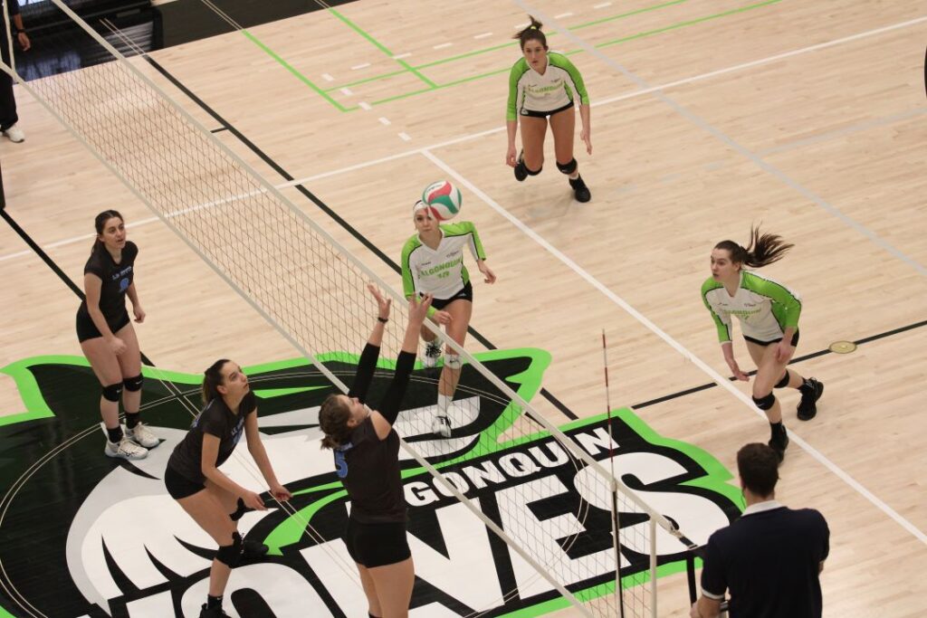 ARC front and centre in College ward’s future – Algonquin Times