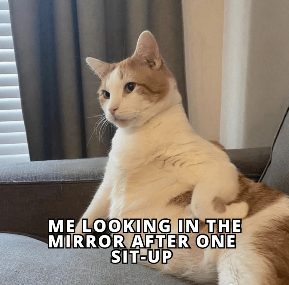 Midweek Memes – Algonquin Times