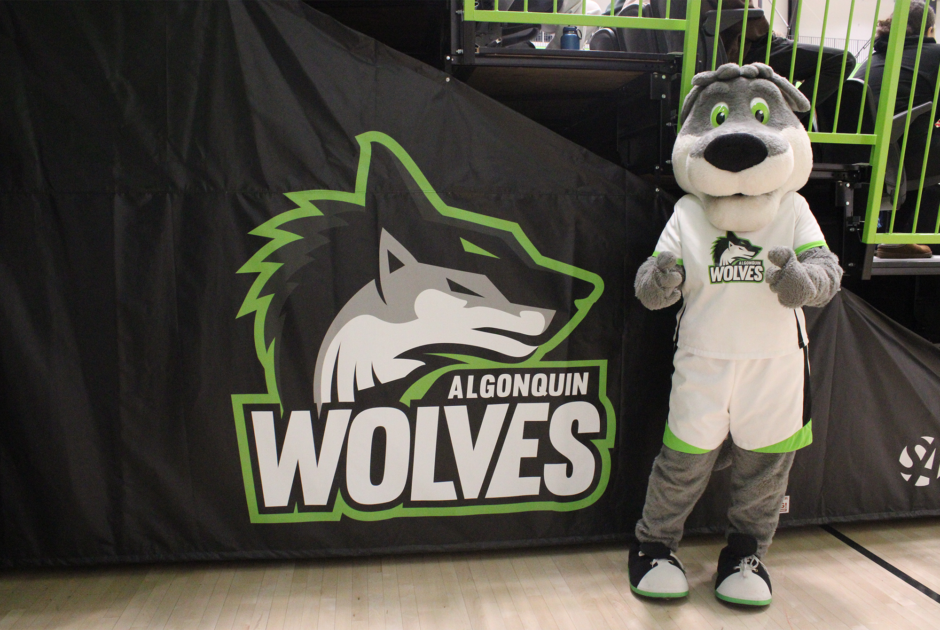 A wolf with no name: All about Algonquin College’s mascot – Algonquin Times