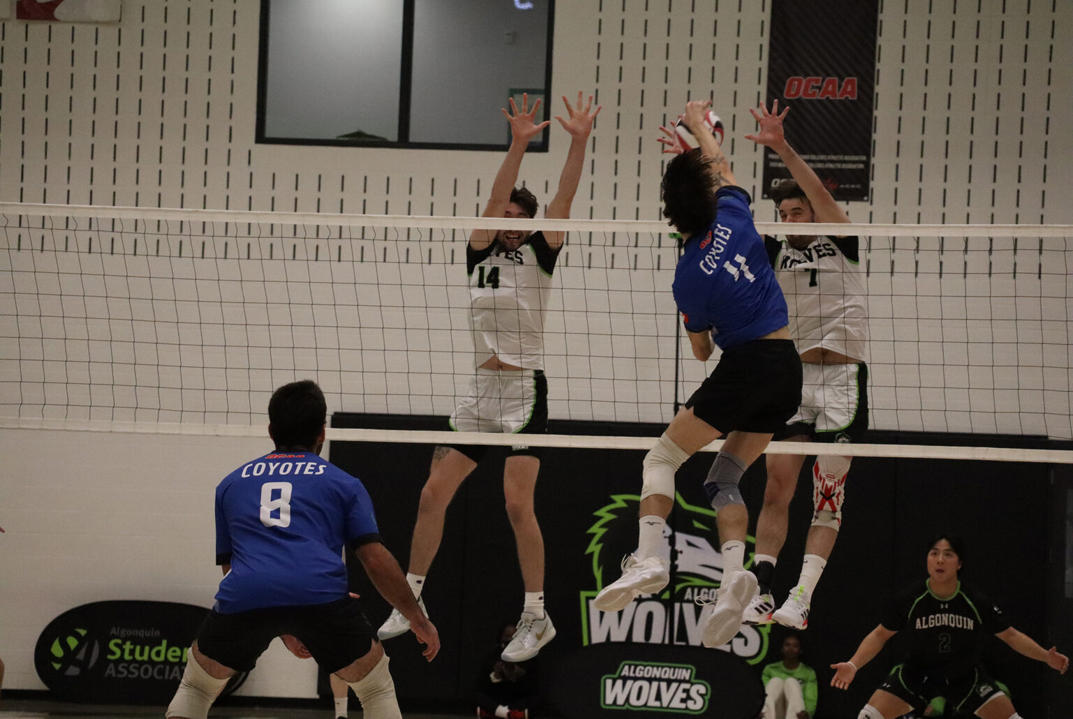 The ARC opens new restaurant, Wolves Den – Algonquin Times