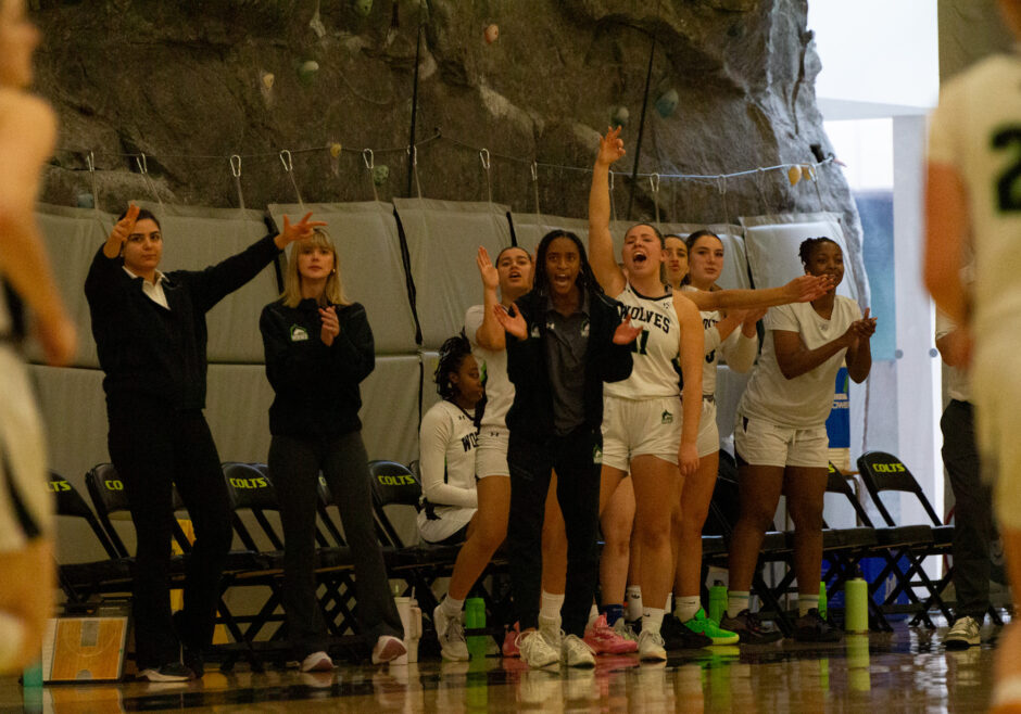 Wolves split Toronto swing as Taryn Mitchell makes personal history ...