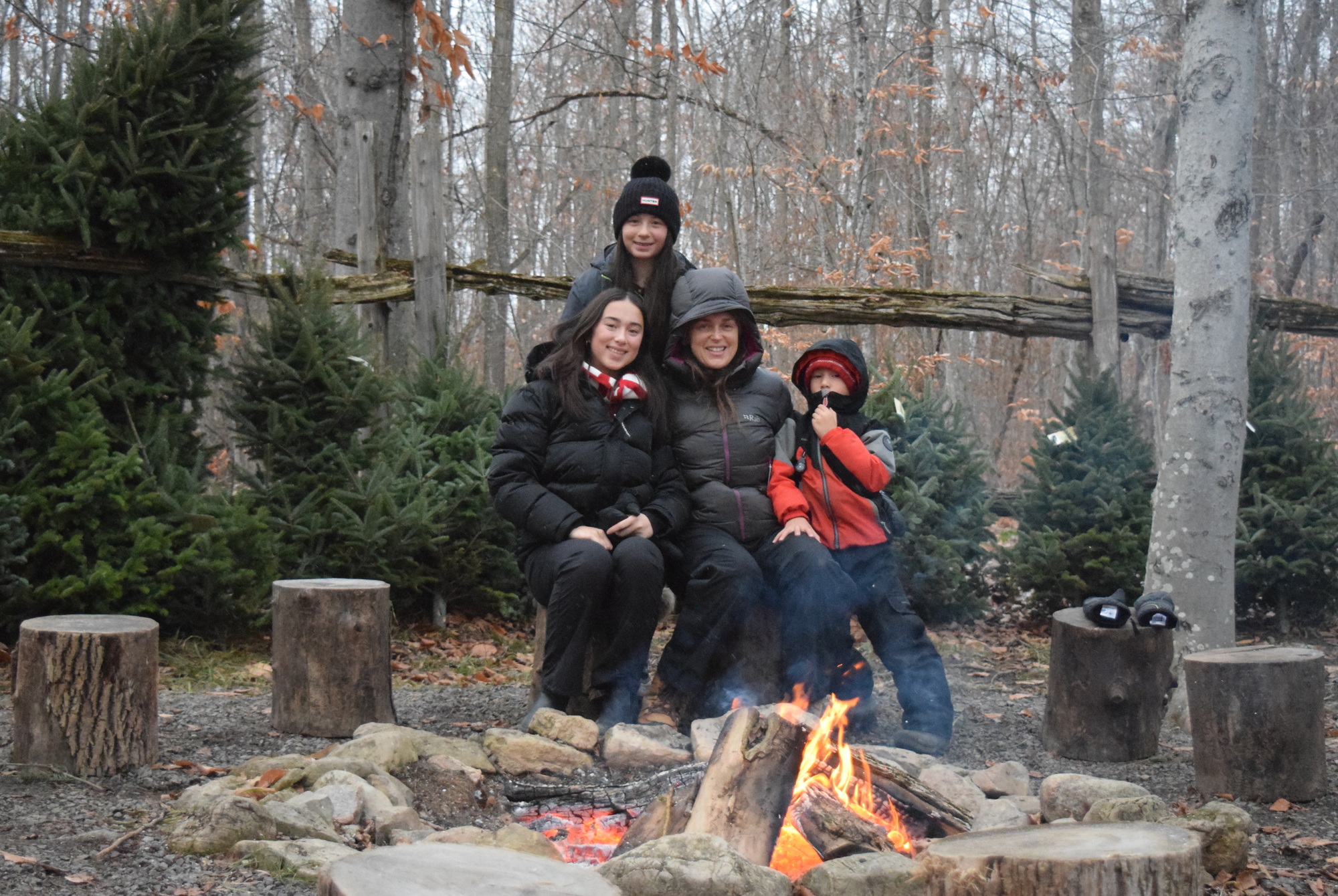 Thomas Tree Farm is a family dream rooted in Christmas spirit ...