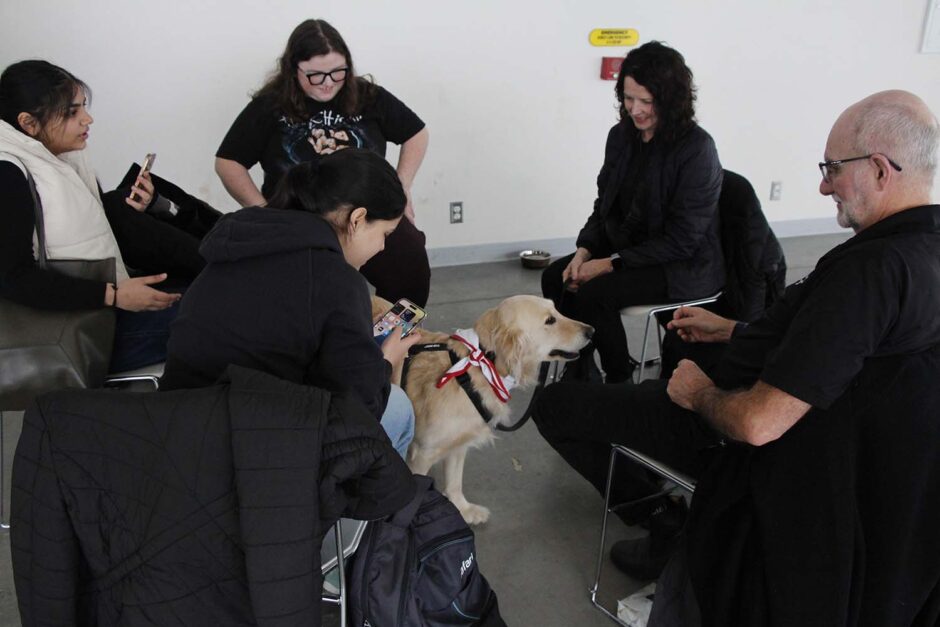 Paws 4 Stress provides a break during Mental Health Awareness Week ...